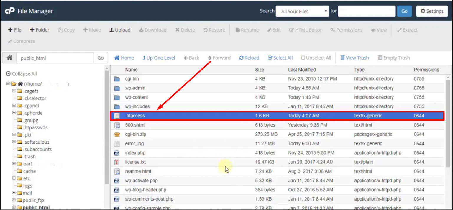 How to Fix 404 Not Found Error for WordPress Site & Android?