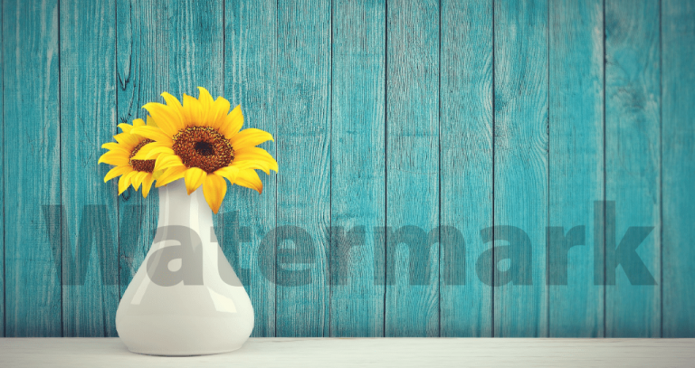 11 Best Methods To Protect Images on Your Site