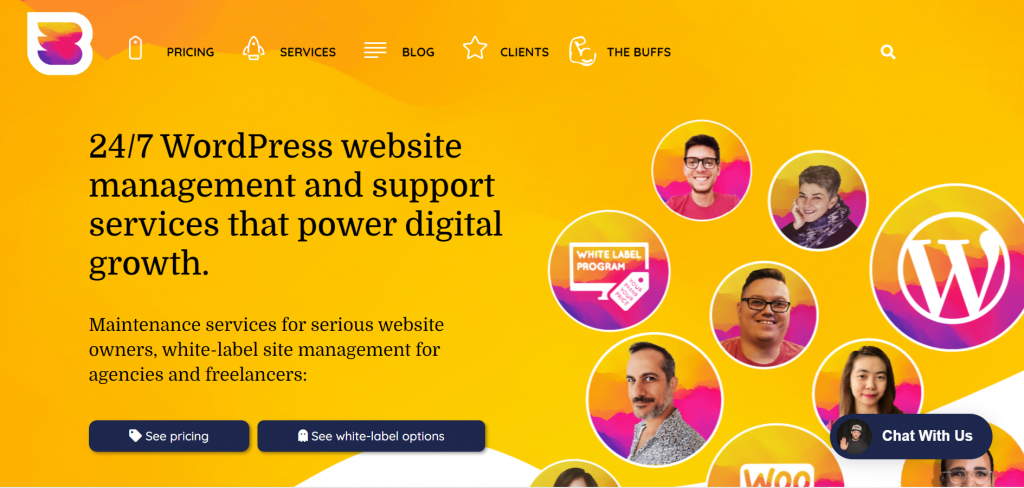 5 Best WordPress Maintenance Packages for Your Website