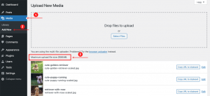 How to fix "the uploaded file exceeds the upload_max_filesize directive ...