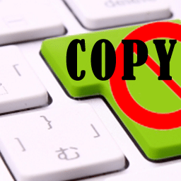 How to enable Website Copy Protection in 2023?